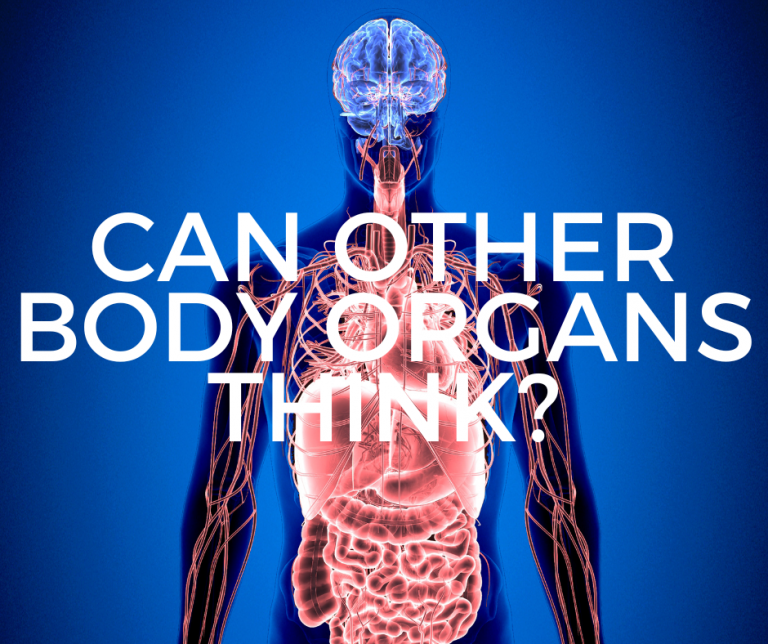 What is Gut Thinking: Are There Other Body Parts That Can Think?