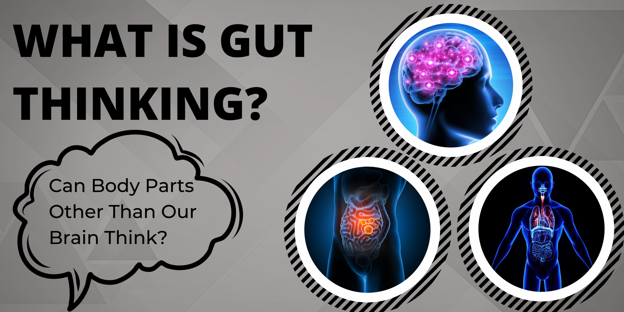 What is Gut Thinking: Are There Other Body Parts That Can Think?