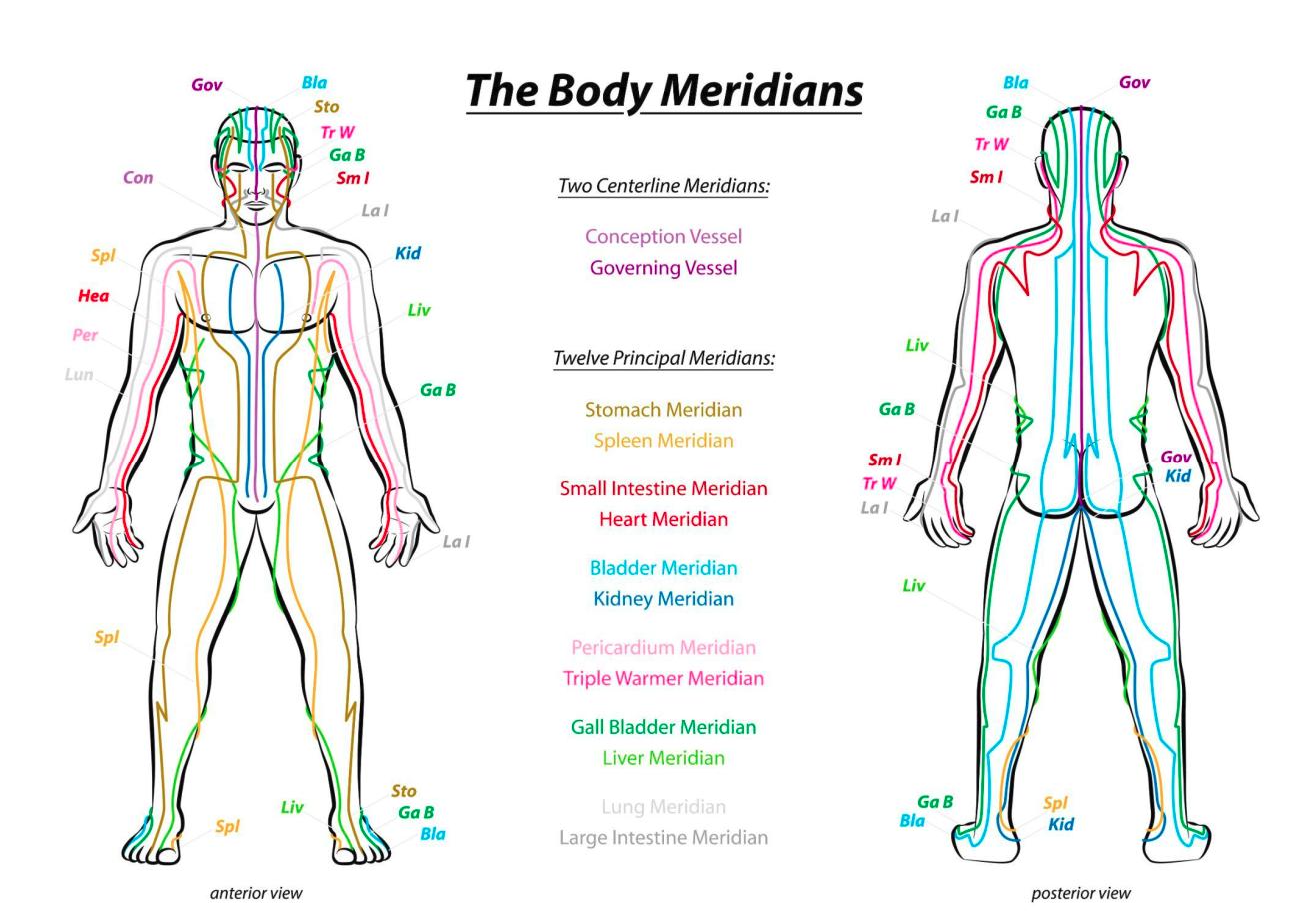 What Are The Meridians And How Do They Work?